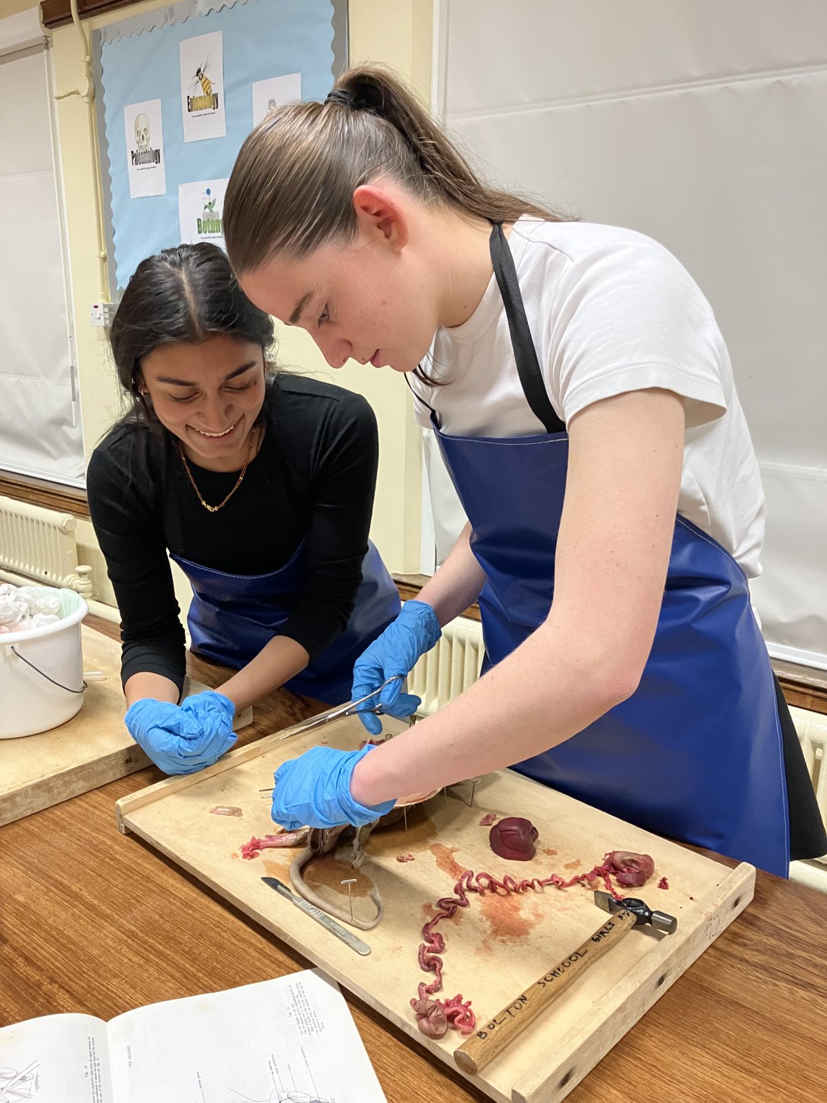 Sixth Form Girls' Curriculum | Bolton School