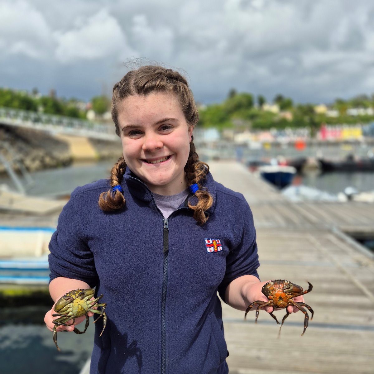 Hermit Crab Infographic Wins National Competition | News | Bolton School